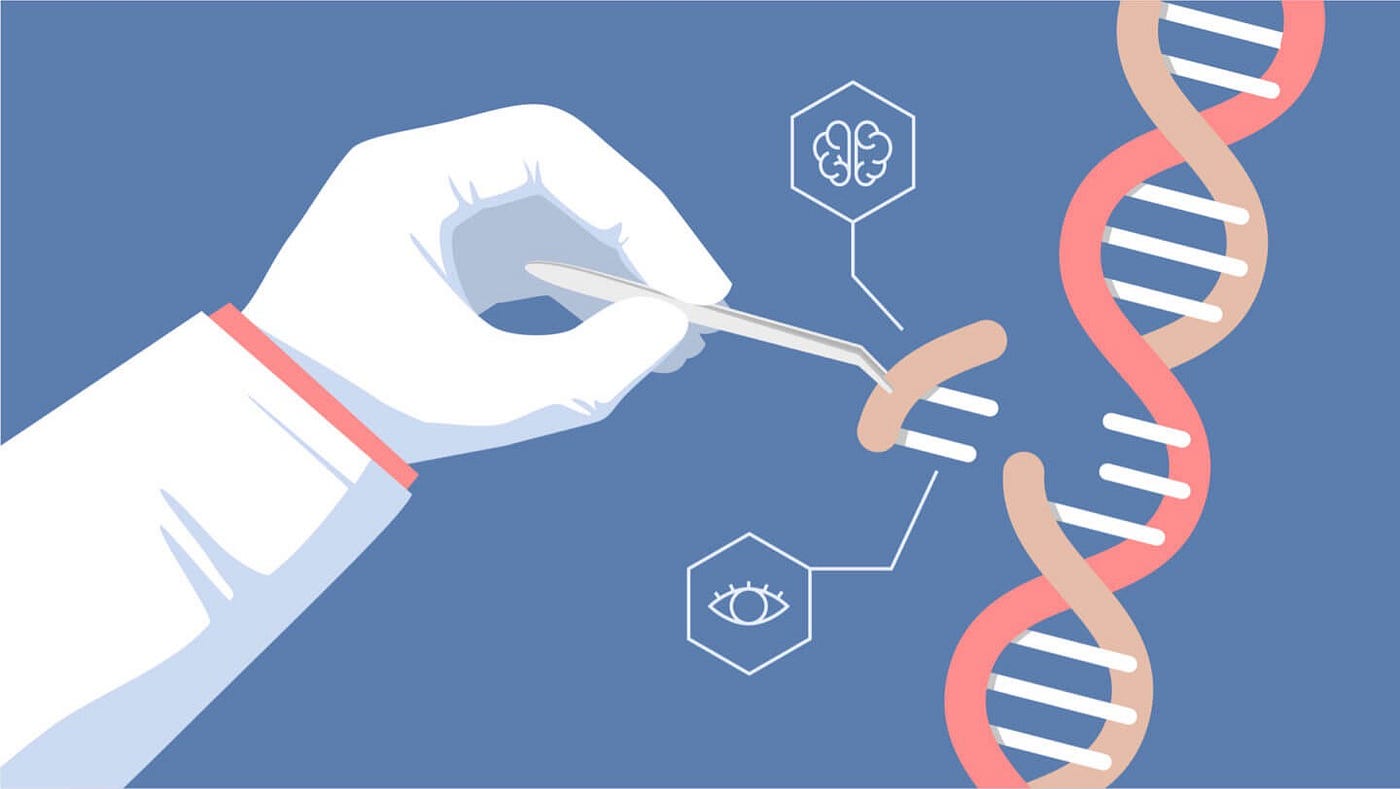 The Genetic Makeup Of An Organism