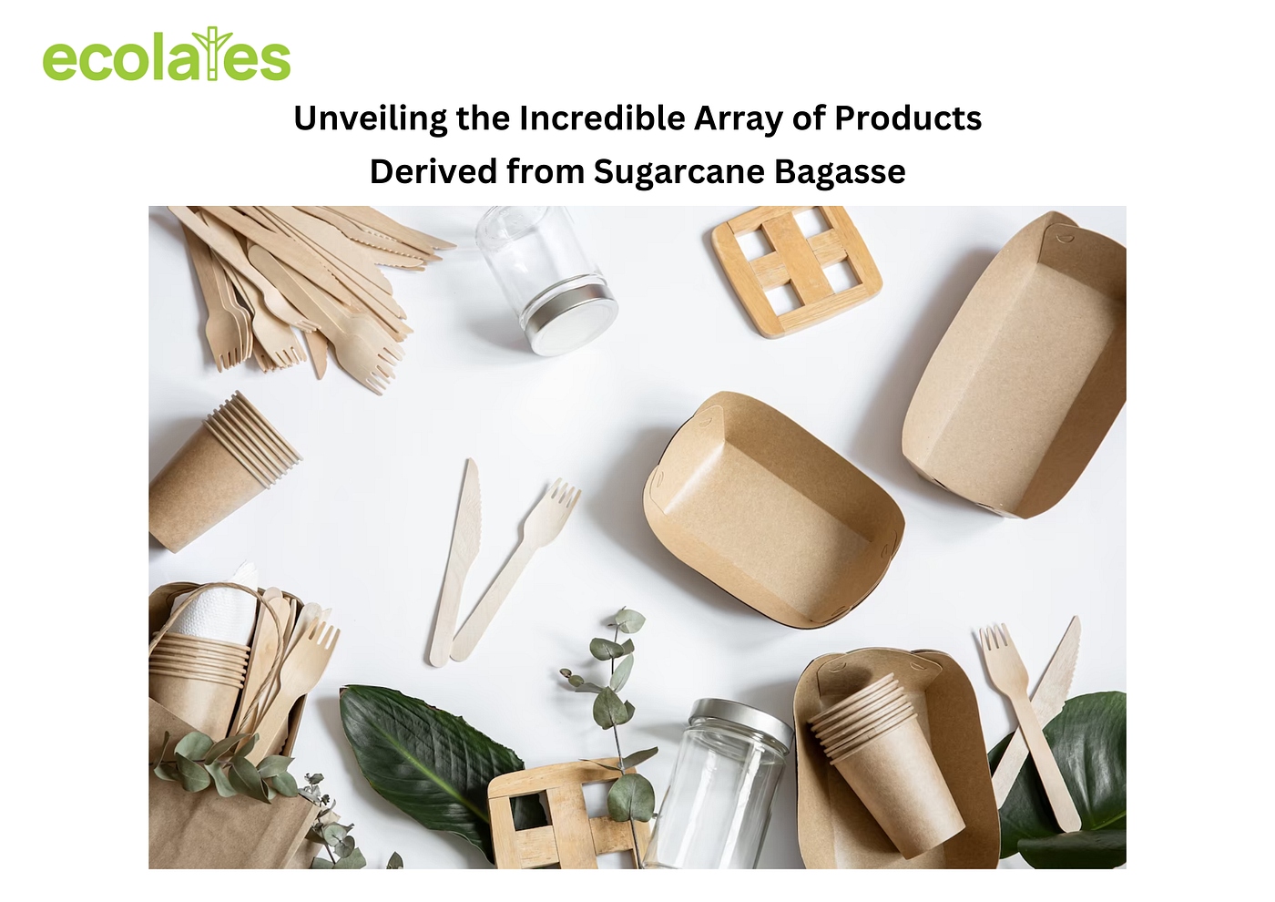 Energy From Sugarcane Bagasse
