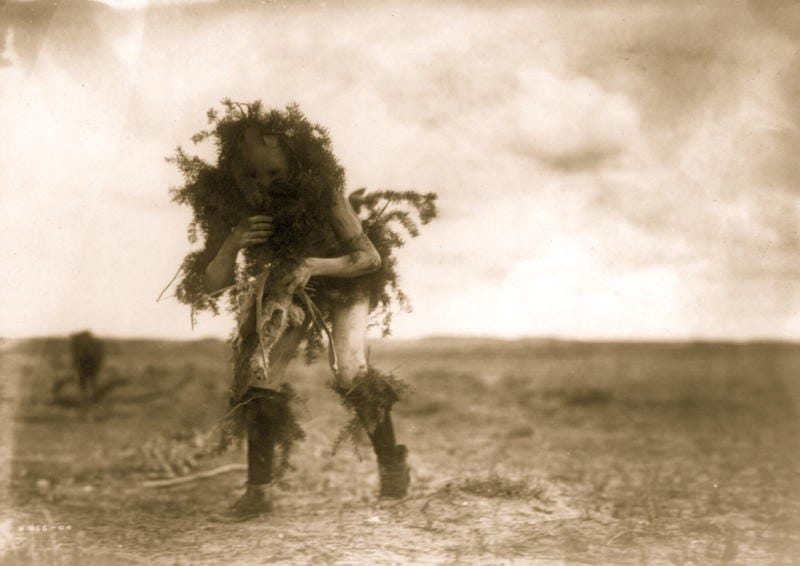 Skinwalker Native American