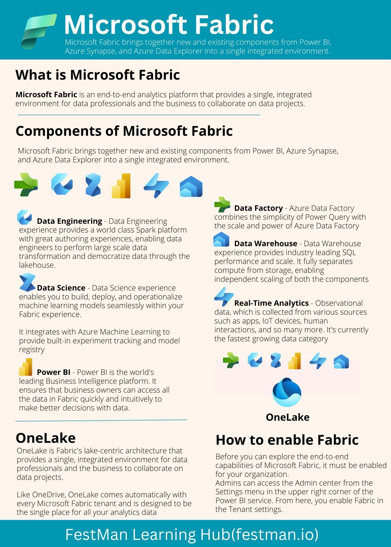 Microsoft Infographic