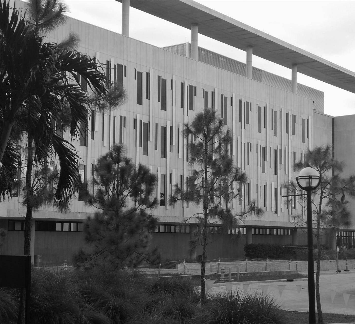 Campus Kendall De Miami Dade Miami Dade College Welcomes Back Students
