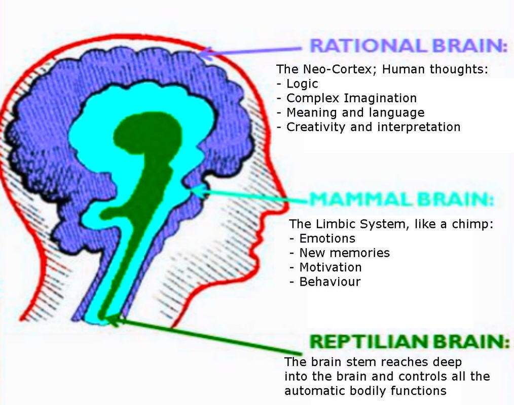Biology Human Instincts
