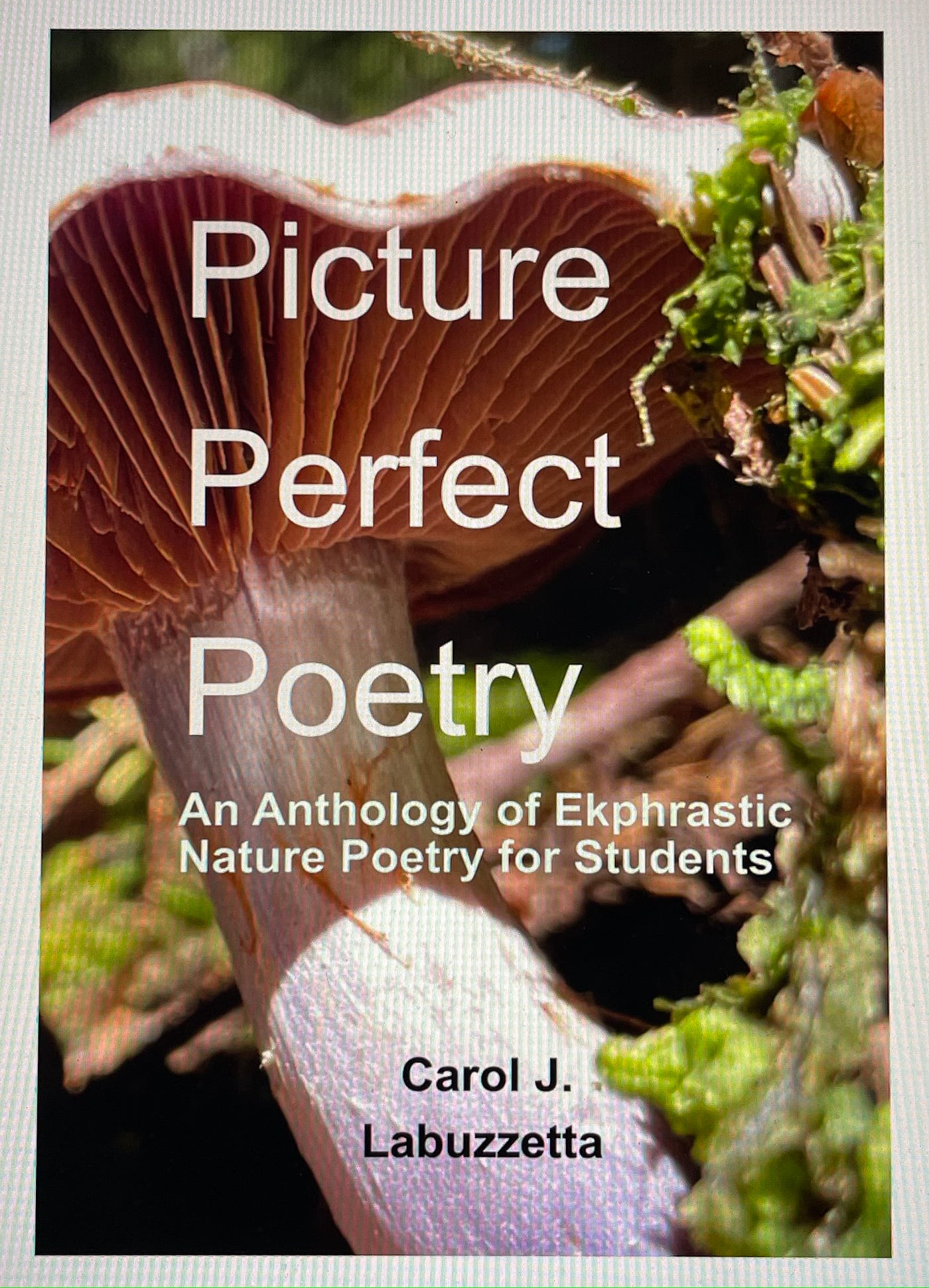 Fungi Biology As Poetry
