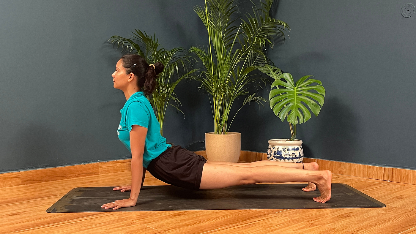 Urdhva Mukha Svanasana Urdhva Mukha Svanasana Upward Facing Dog | Yoga