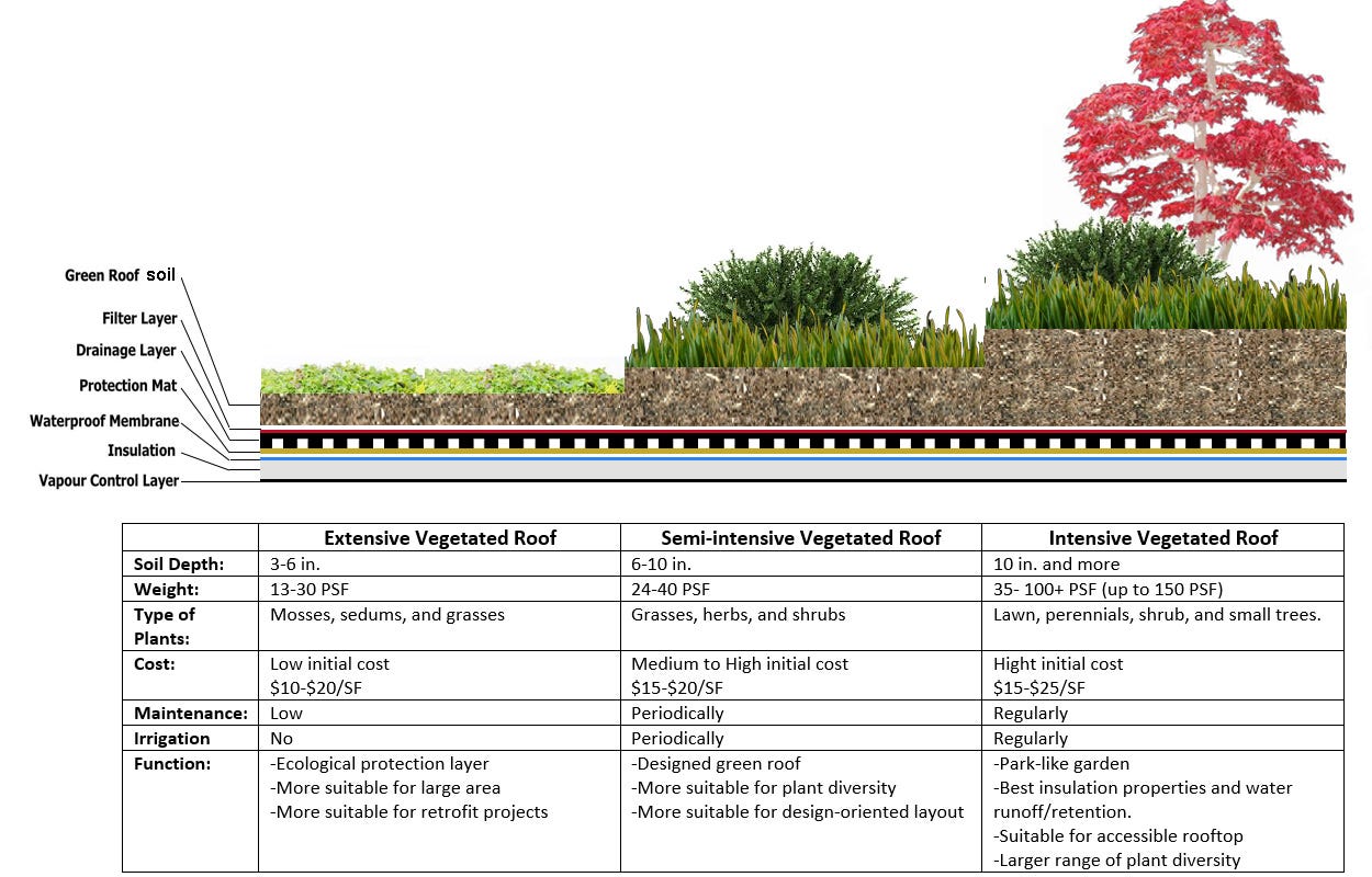 Semi Intensive Roof Diagram About Green Roofs — Green Roofs For