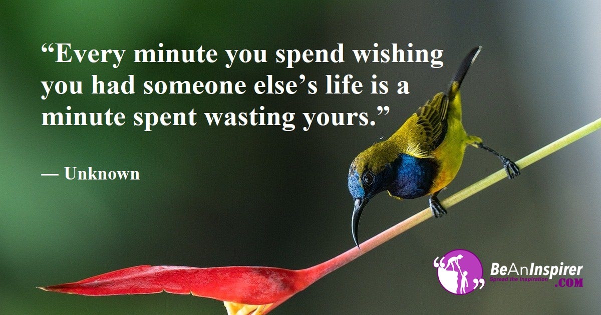 Quotes On Not Comparing Yourself To Others Motivational Quotes Focus