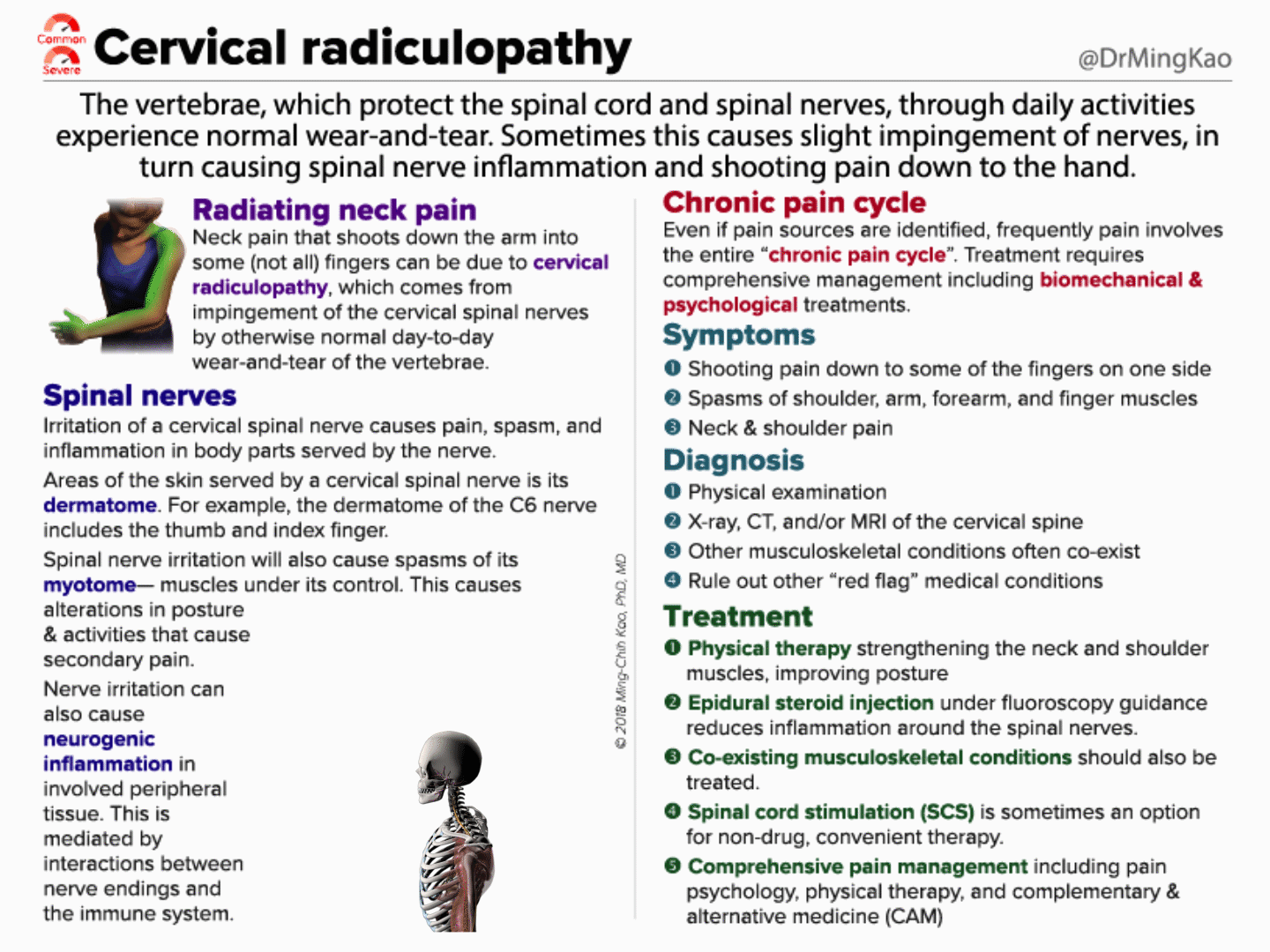 Cervical Radiculopathy Dermatomes