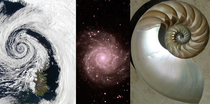 Fibonacci Sequence Spiral Galaxy