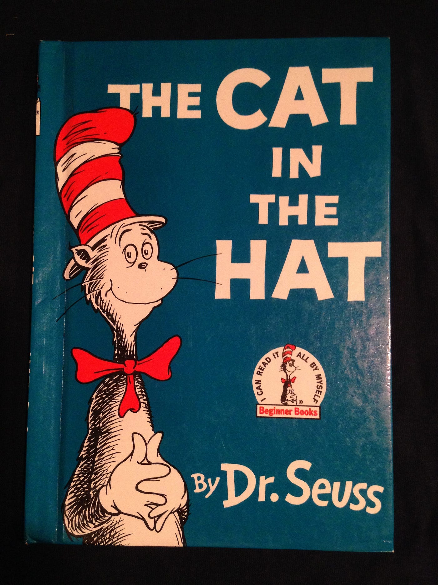 Dr Seuss Reading A Book
