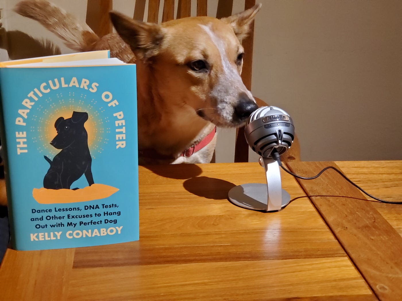 Conspiracy Dog