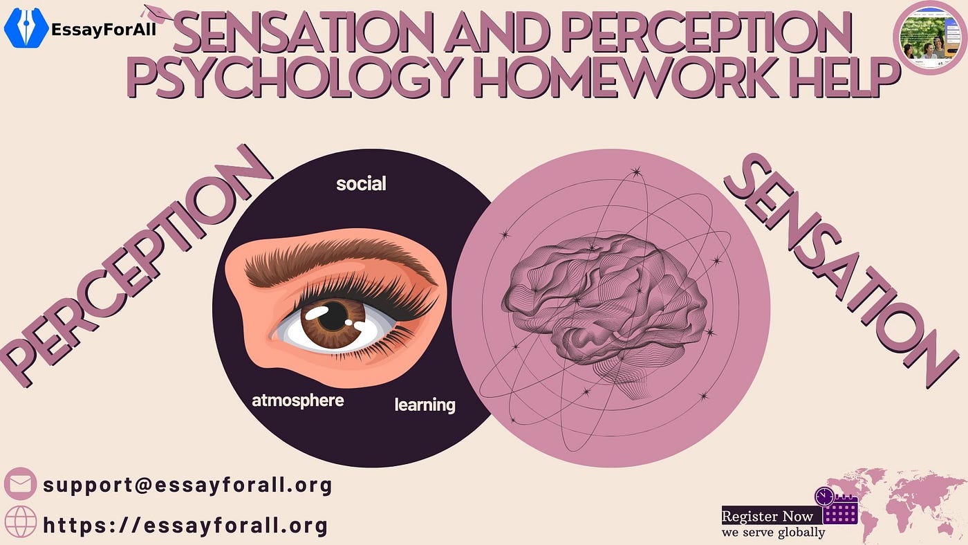 Sensation And Perception Psychology Of Sensation And Perception
