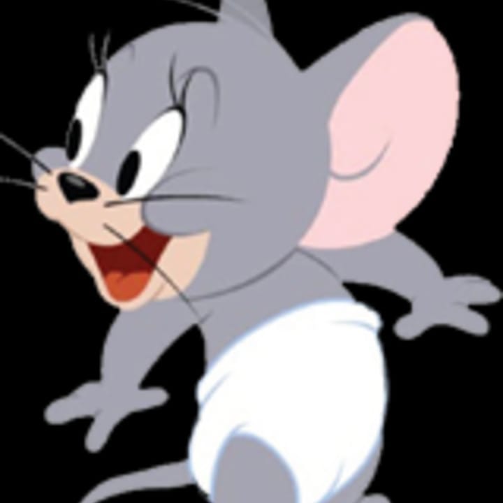 Tom And Jerry Tuffy Diaper