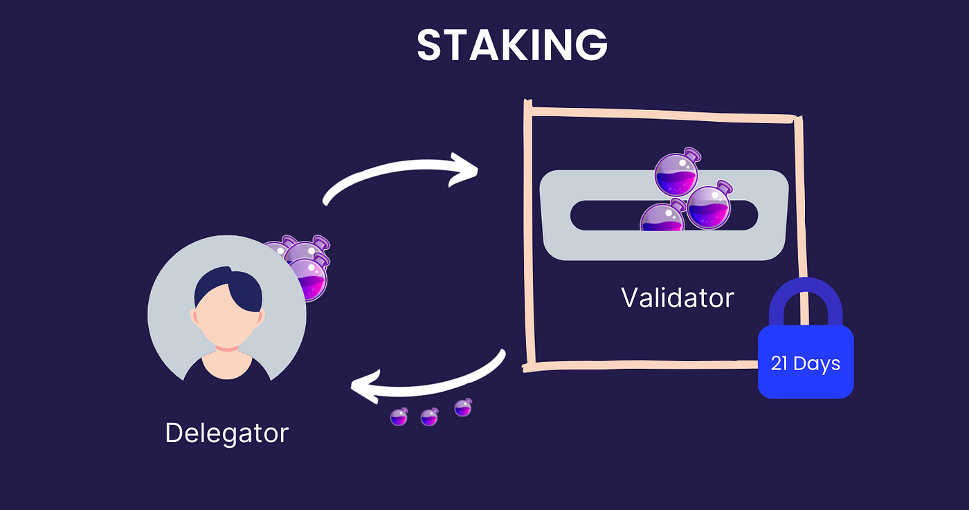 Do Delegators Really Understand What Staking Is?