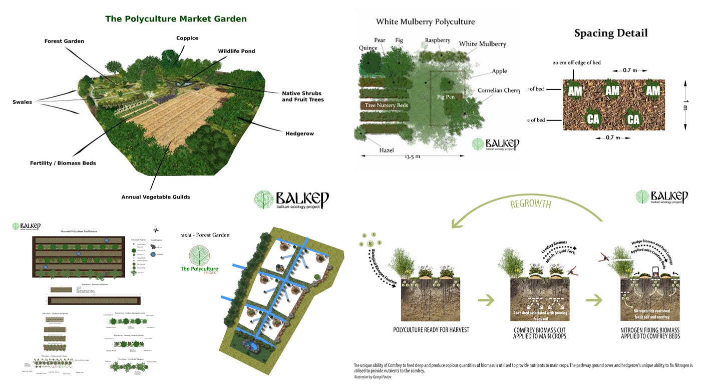 How to Design a Market Garden: Expert Tips Revealed - Garden