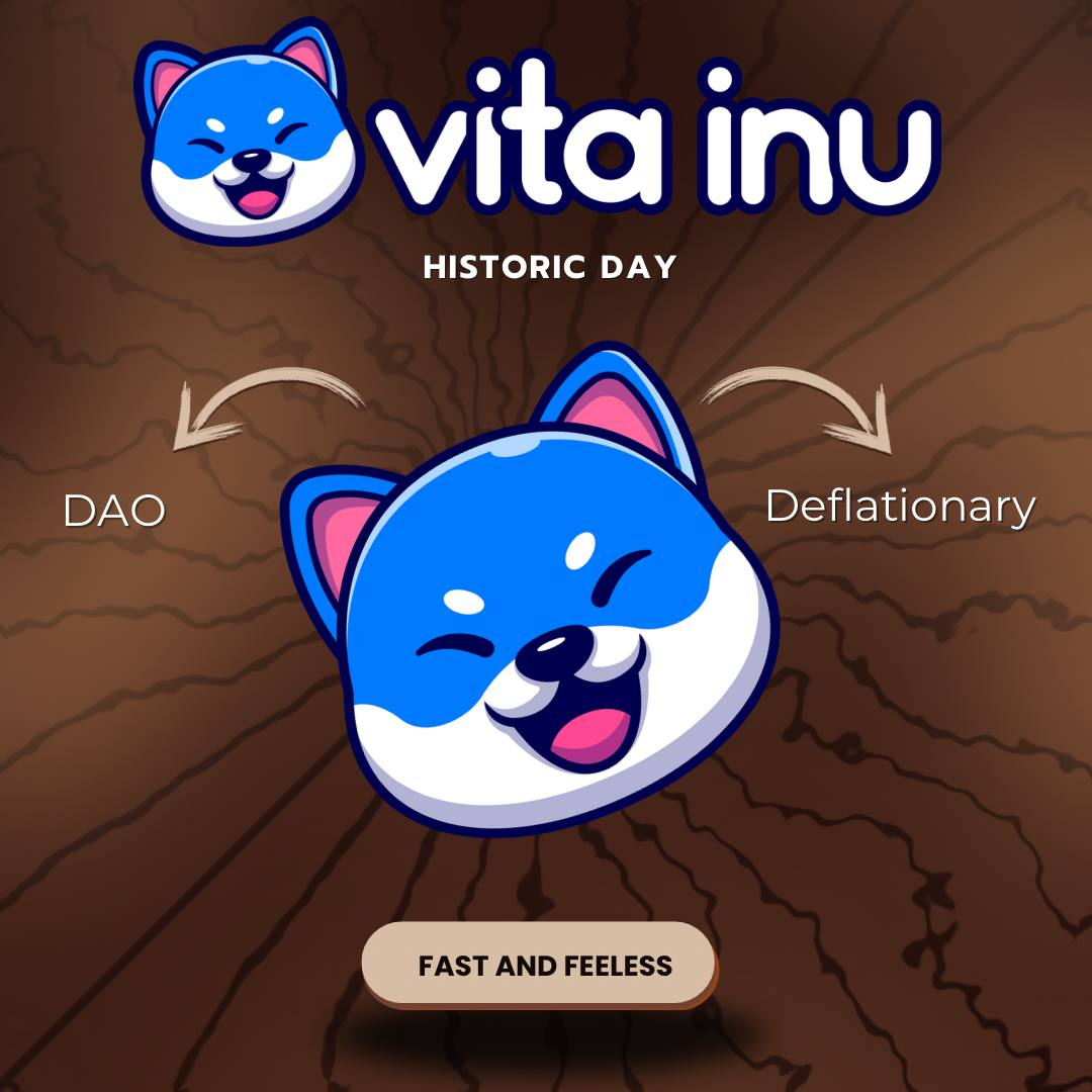 Actualización del proyecto de NOVIEMBRE/2023 - Vita Inu (VINU)