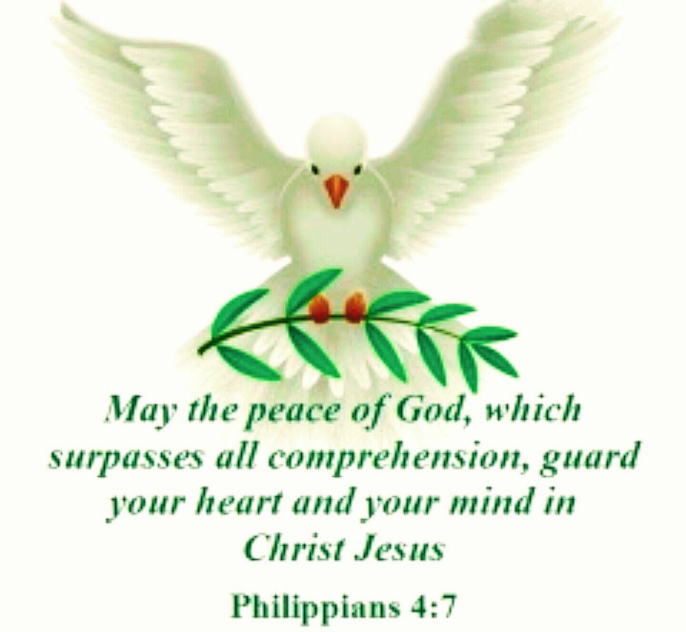 Passing The Peace Of Christ Genuine Peace And Fulfilment Flow From An