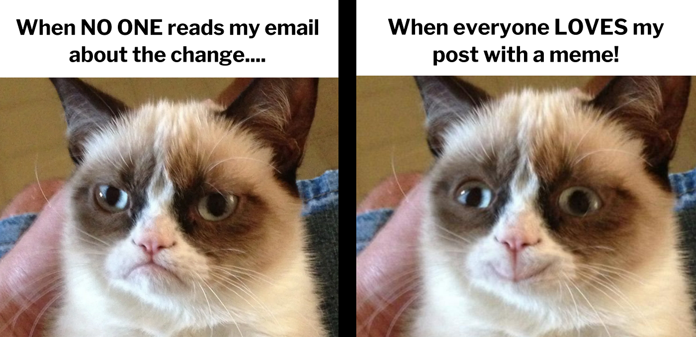 Memes Culture Article