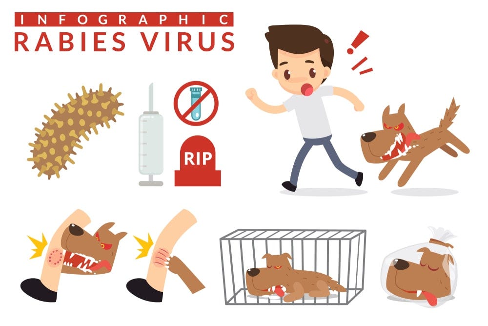 Rabies Symptoms