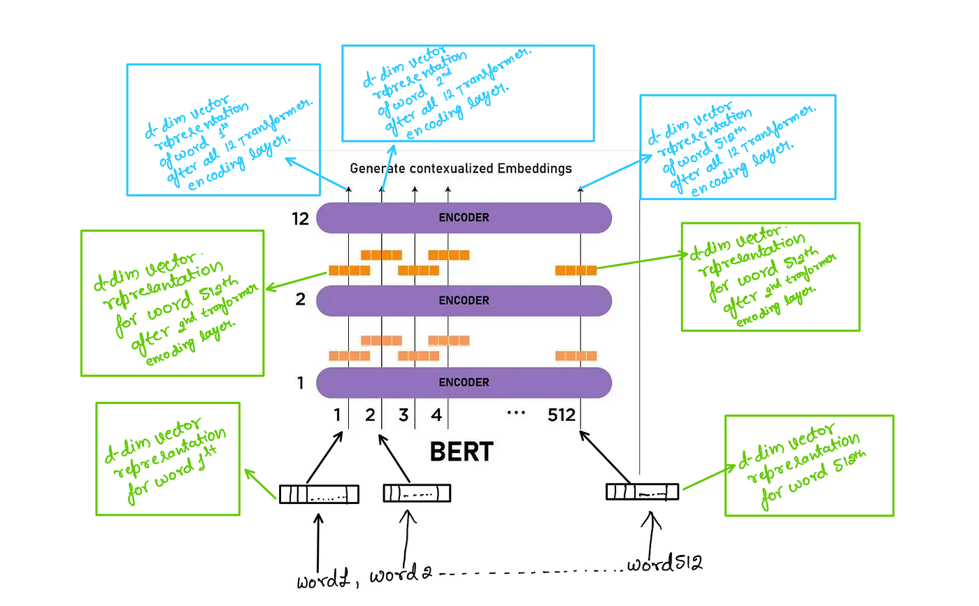 Let's build an AI-powered question-answering system with Bert using Huggingface transformers ...