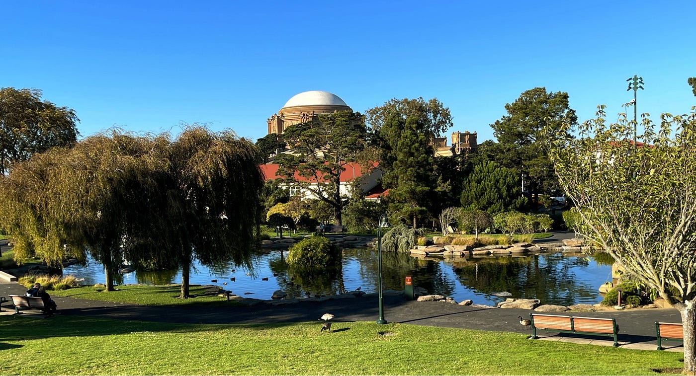 Presidio Park San Francisco
