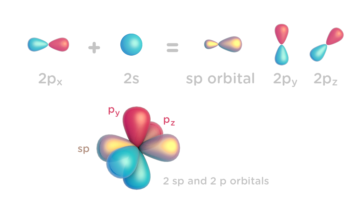 Sp Orbitals