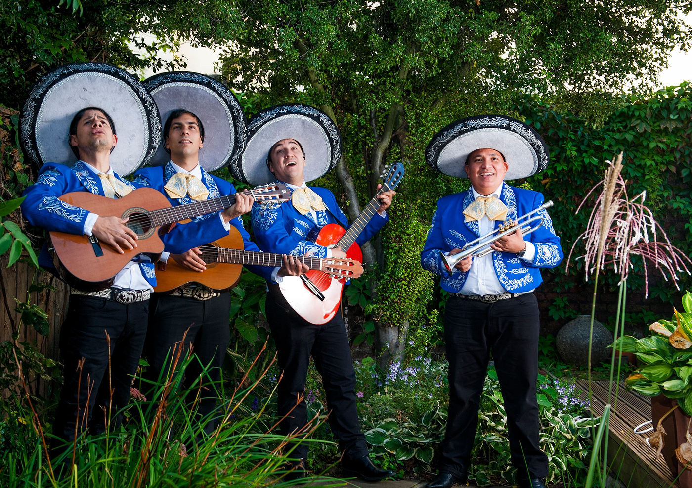 Mariachi Party