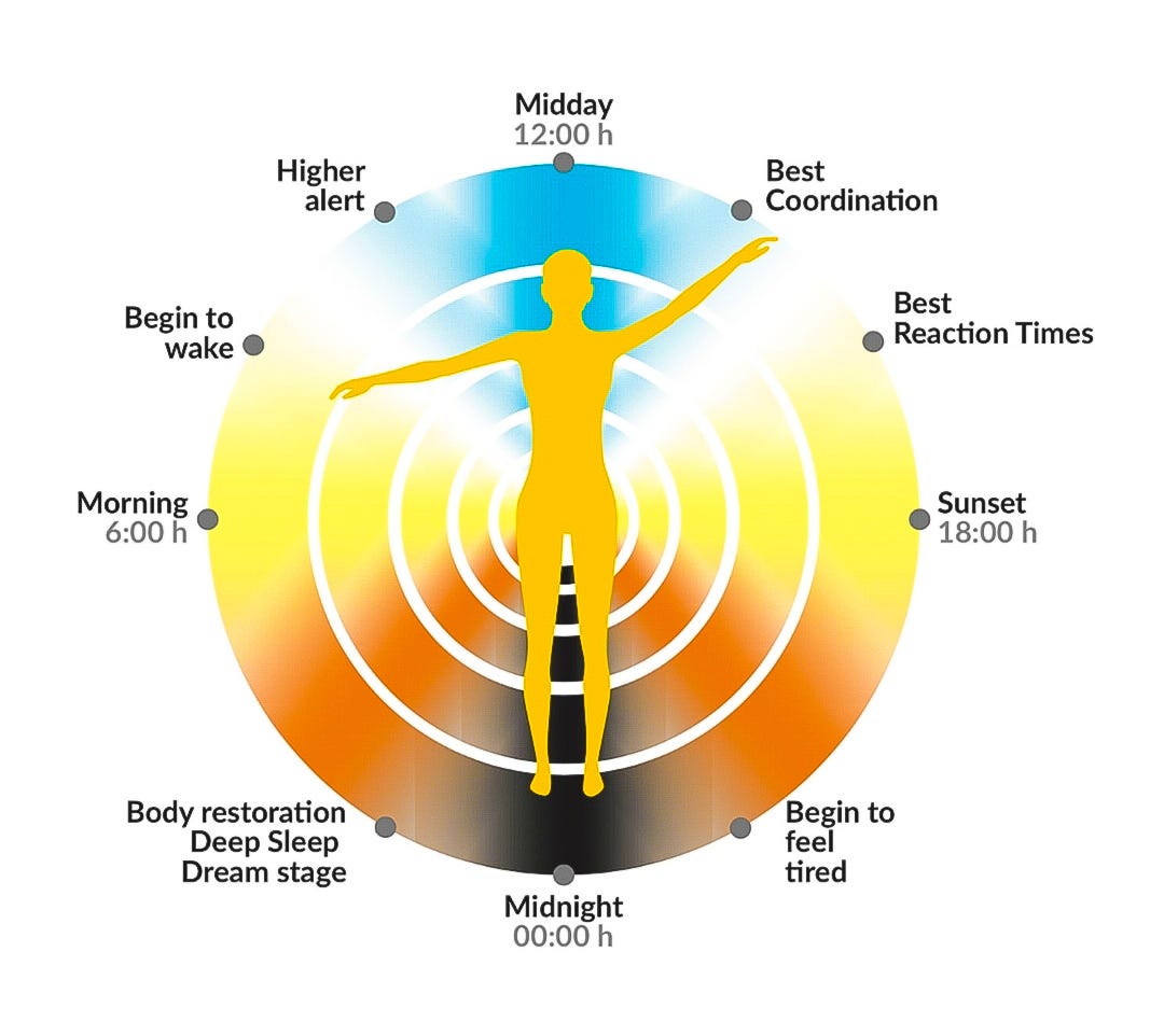 Biorhythm Definition, Origin Chart Video, 52% OFF