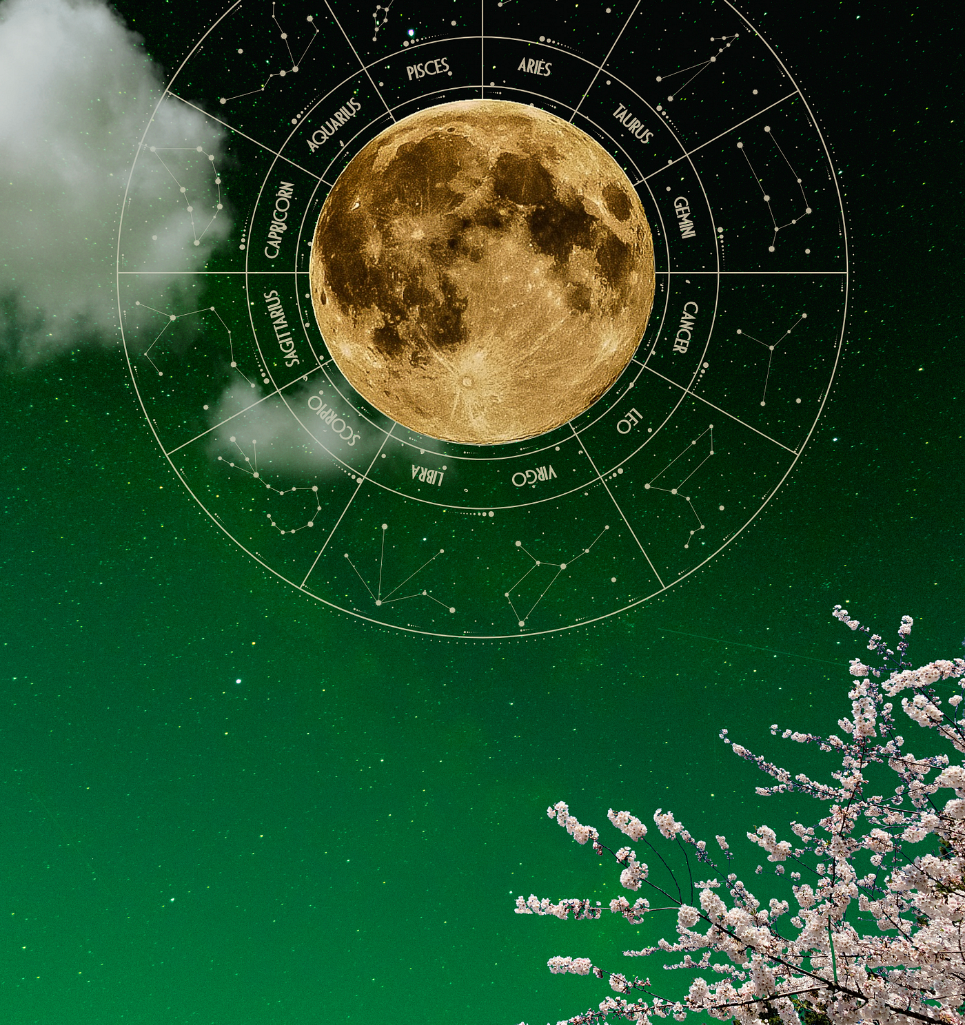 Dreamy World Moon
