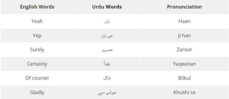 Urdu Language Words