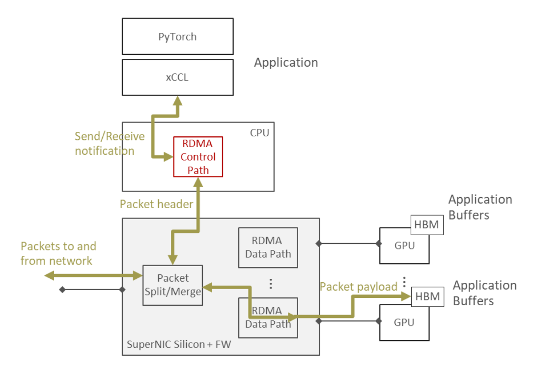 Rdma Atlas10 10GigE Camera + RDMA, PoE, High Performance Sensors