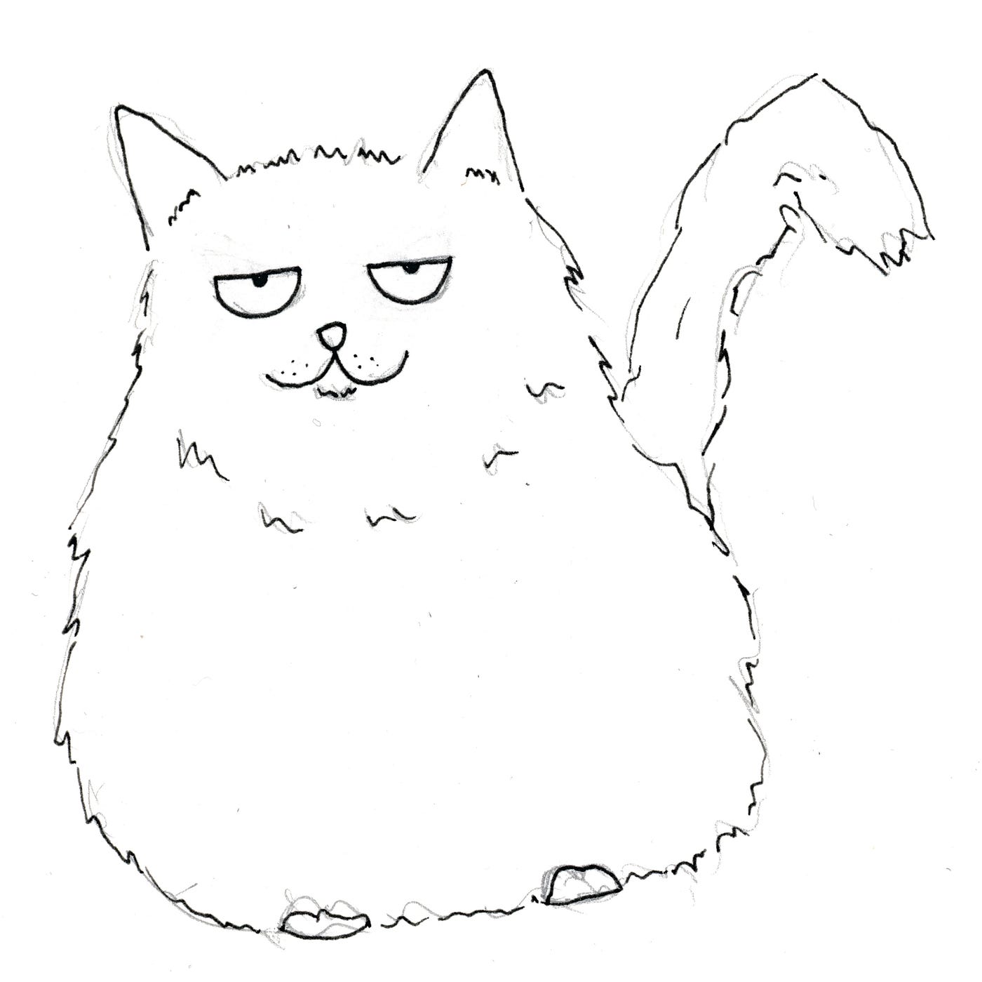 Haughty Cat