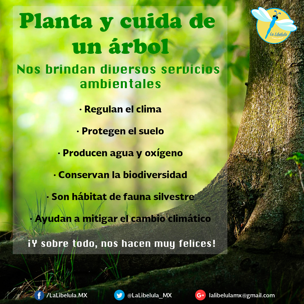 Mes De Julio