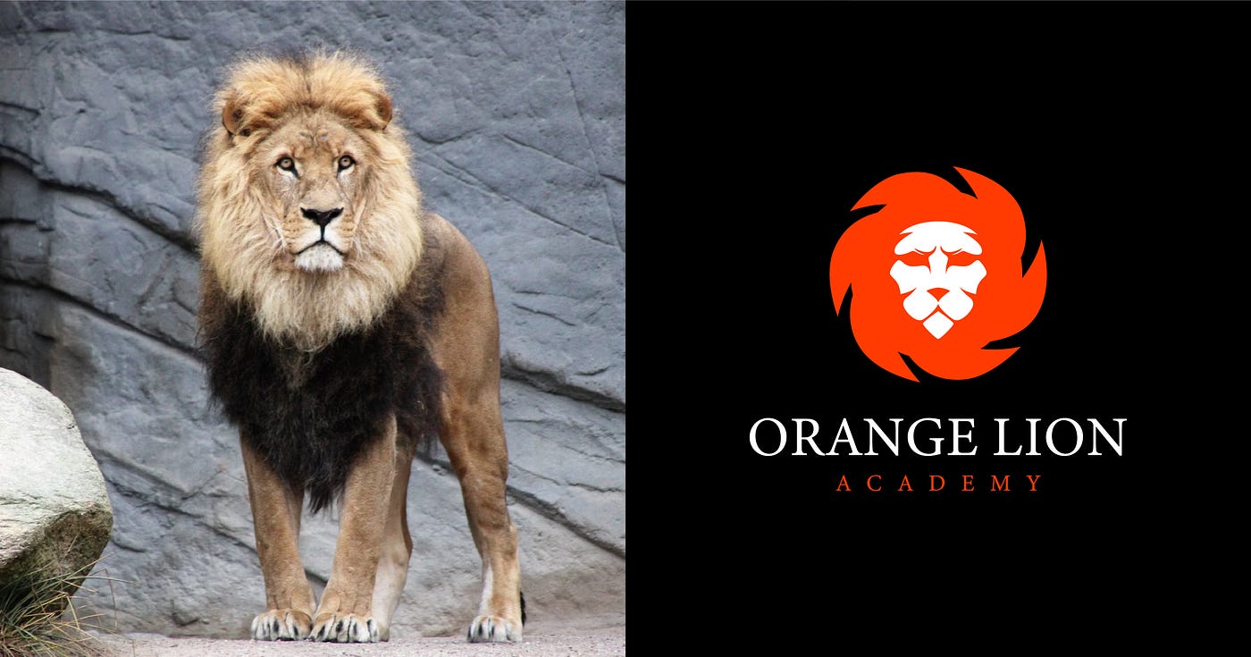 Orange Lion Logo Lion Logo Design PhotoADKing