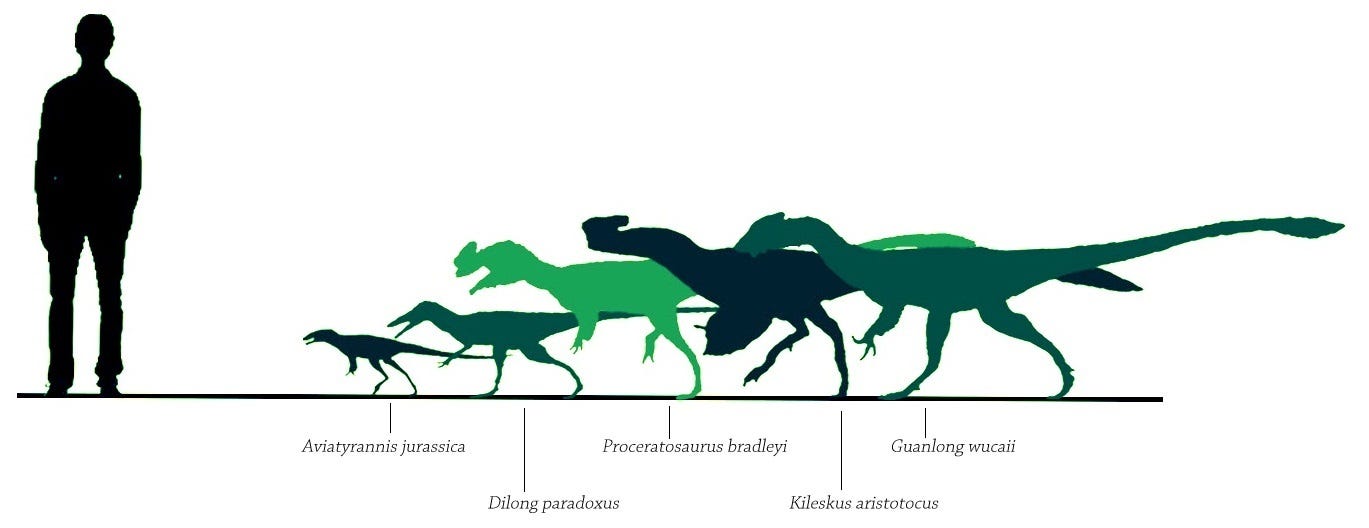 Aviatyrannis