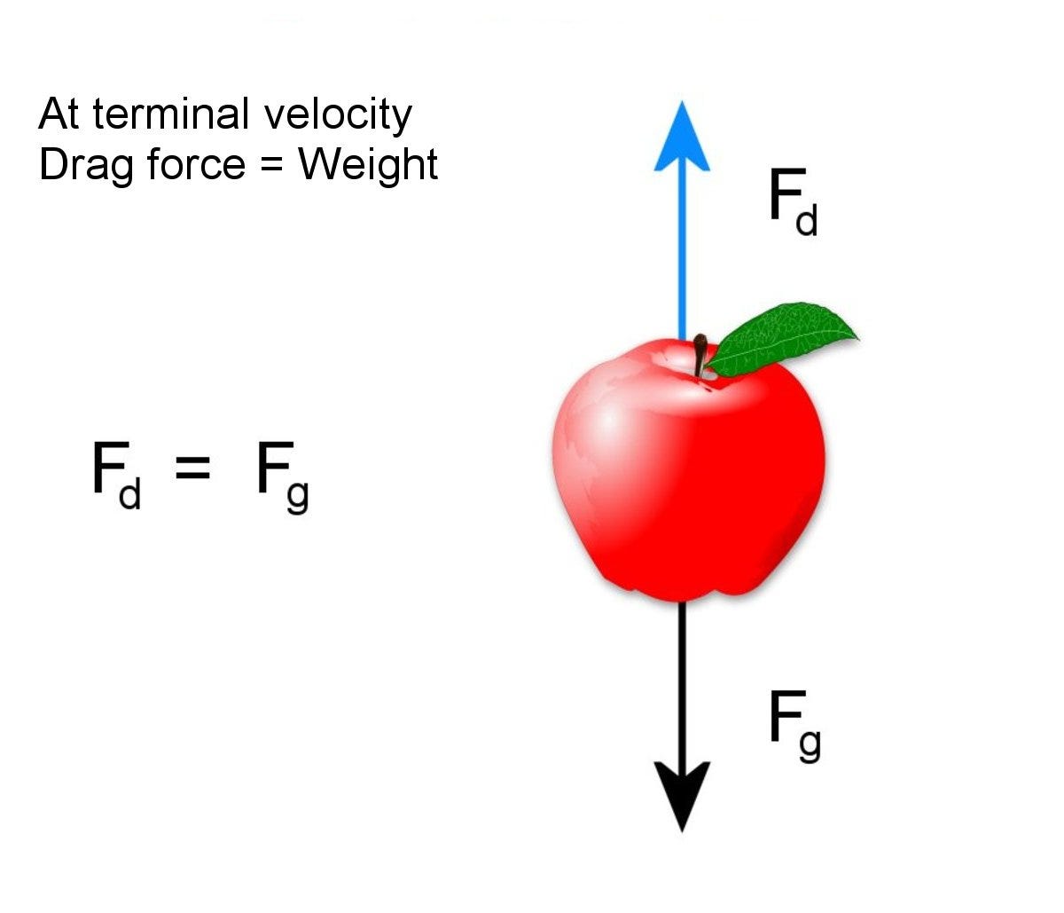 Terminal Velocity