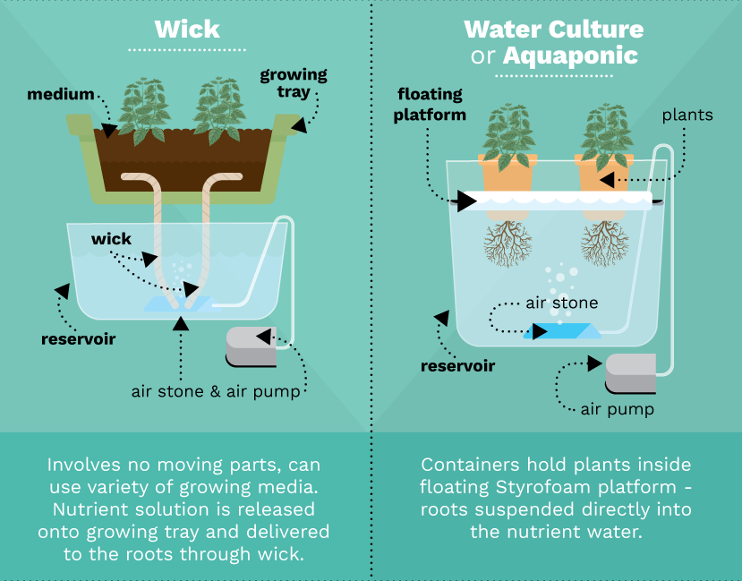 What Is Wick Hydroponics Nosoilsolutions
