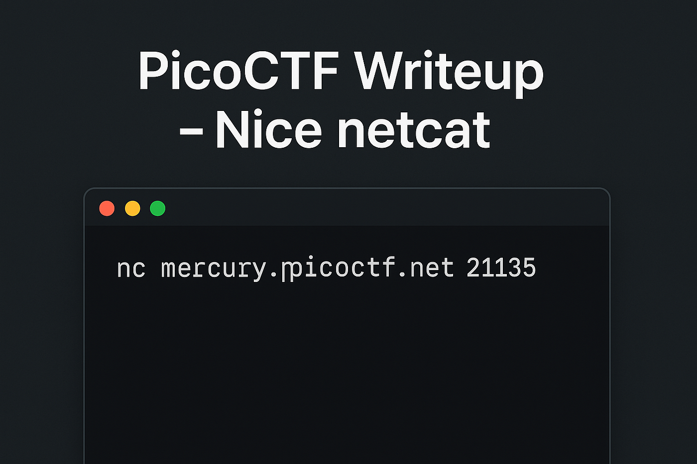 Logotipo De Netcat