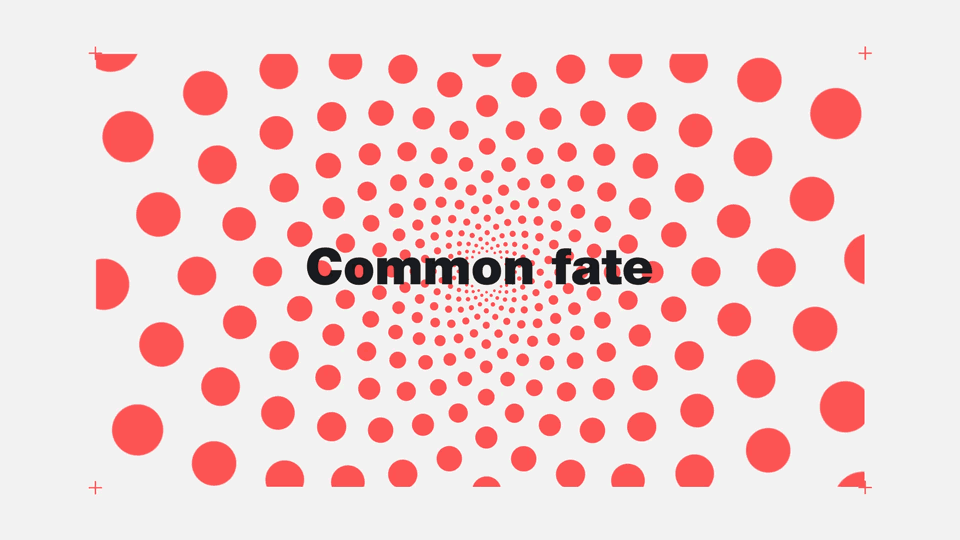 Common Fate Gestalt
