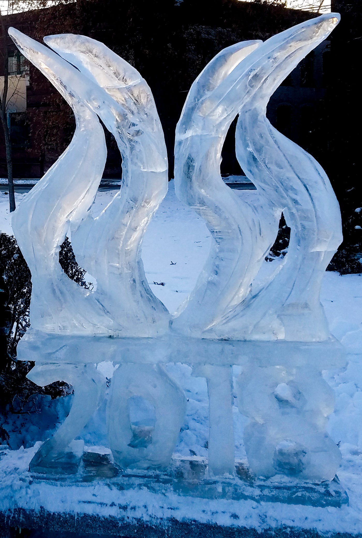 Ice Blocks For Carving
