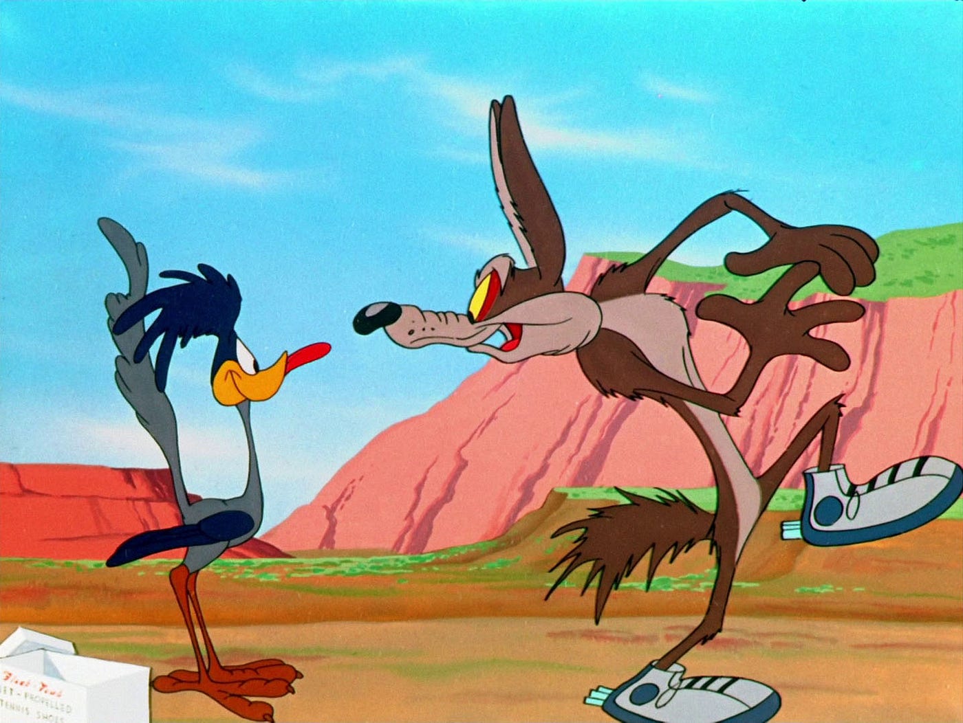 Wile E Coyote And Roadrunner Cliff
