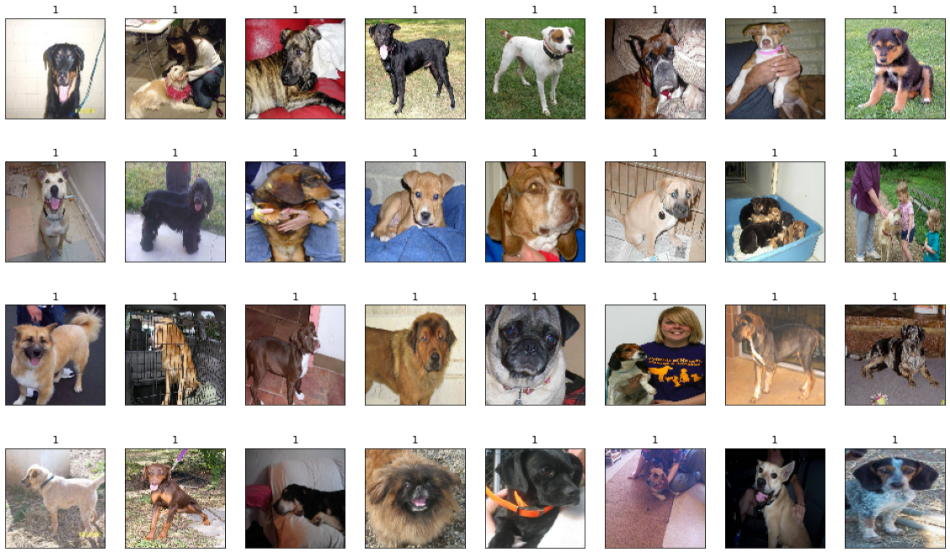 Dogs Cats: Image Classification With Deep Learning Using TensorFlow In Python | atelier-yuwa.ciao.jp