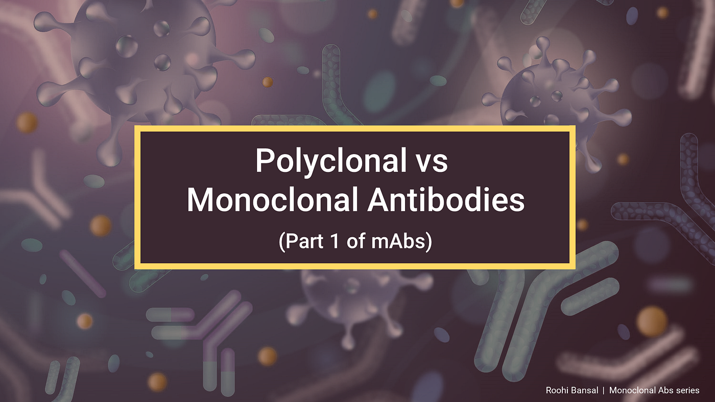 Polyclonal Vs Monoclonal Antibody