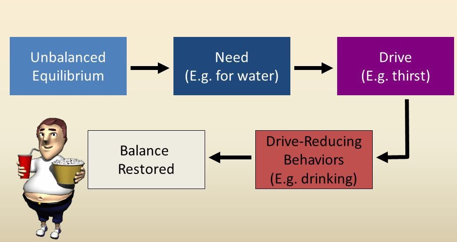 Drive Reduction Theory PPT Motivation And Emotion PowerPoint