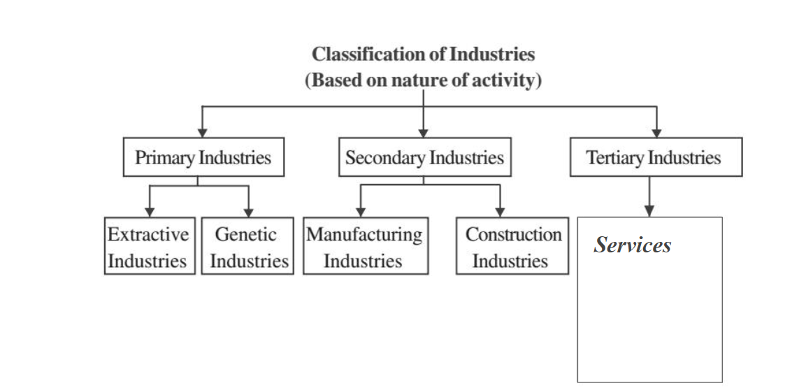 Nature Characteristics And Types Of Organization Emerging Nature And