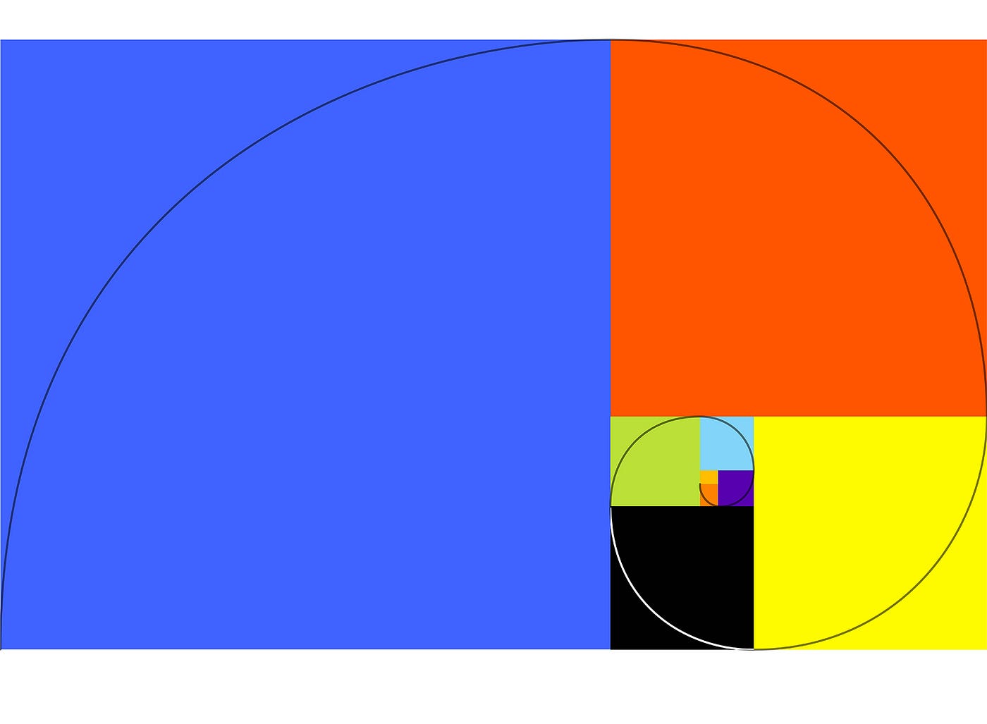 Fibonacci Spiral In Nature Public Domain