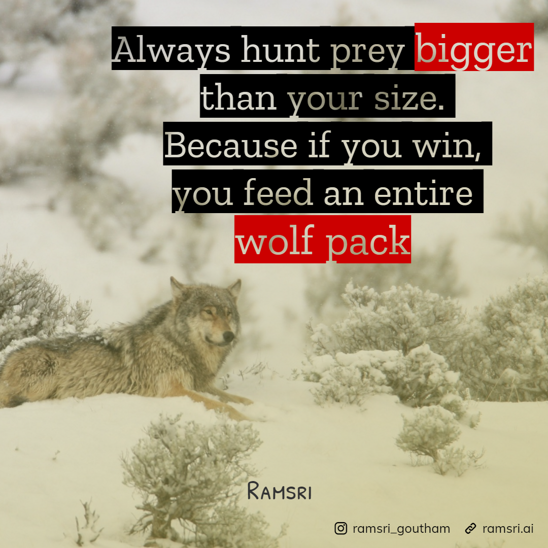 Wolf Pack Quotes