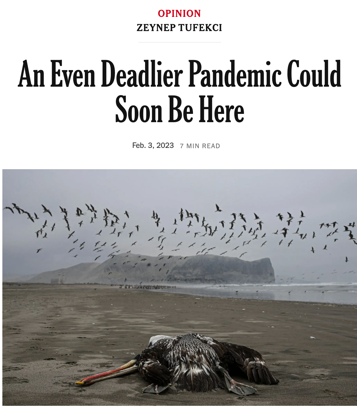 Dead Birds Scary
