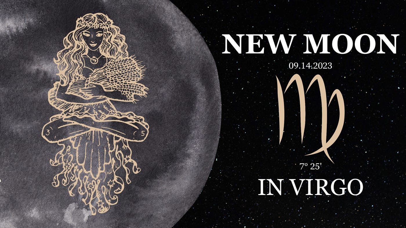 Moon In Virgo