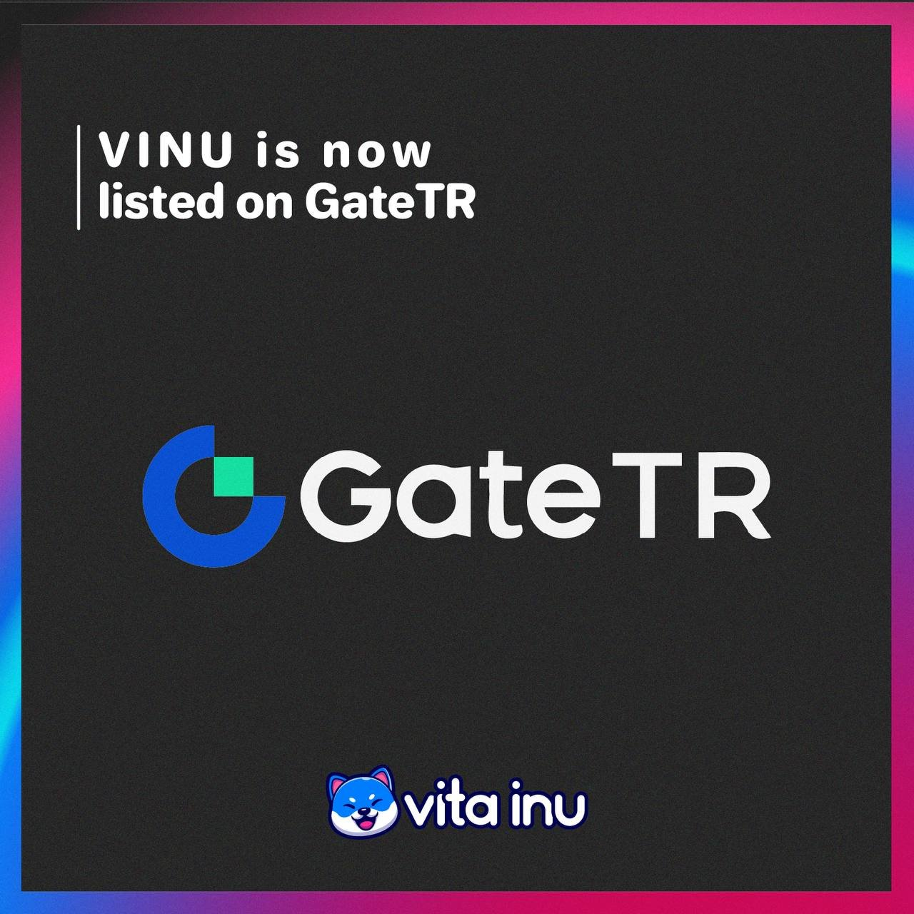 Actualización del proyecto de MARZO/2023 - Vita Inu (VINU)