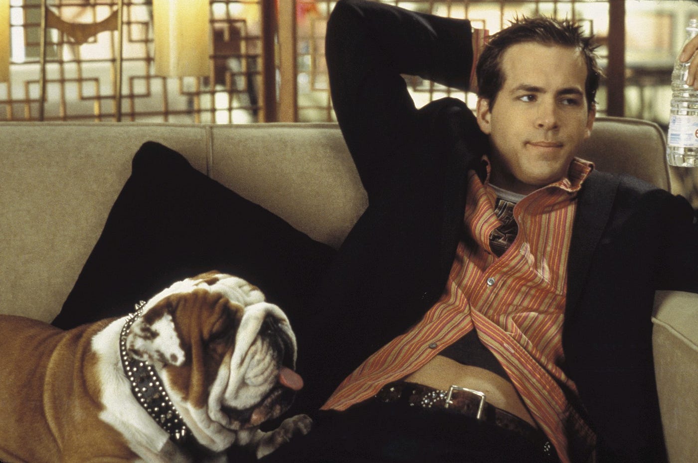 Van Wilder
